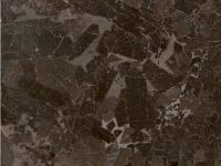 Stone Tiles and Slabs – Stone of London